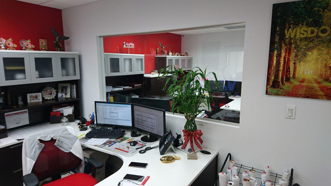 Small Fixed Frame Windows For Commercial Offices, Florida