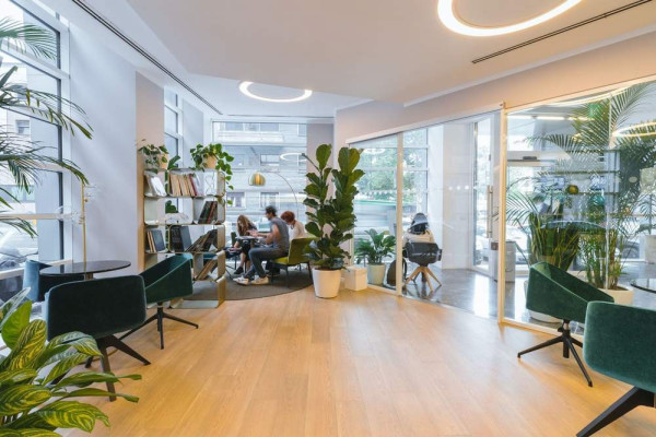 Enhancing Office Layouts with Glass Partitions: A Comprehensive Guide ...